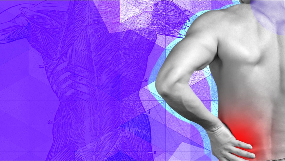 Video: La ciática y sus características - Ensegundos.do