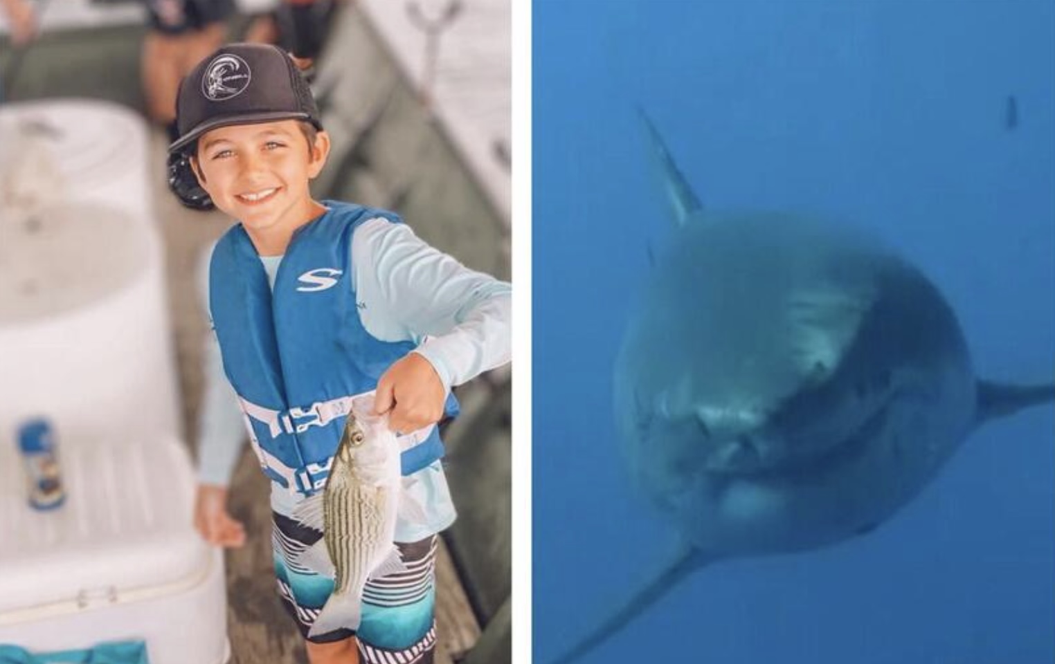 Niño perdió parte de una pierna tras ataque de tiburón en Florida ...