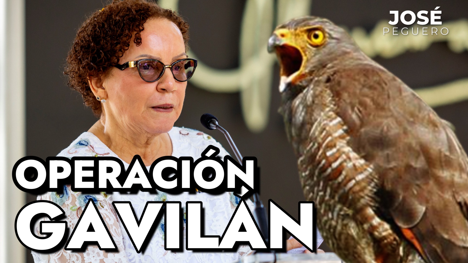 Operación Gavilán: Fiscales y policías eliminaban antecedentes penales ...